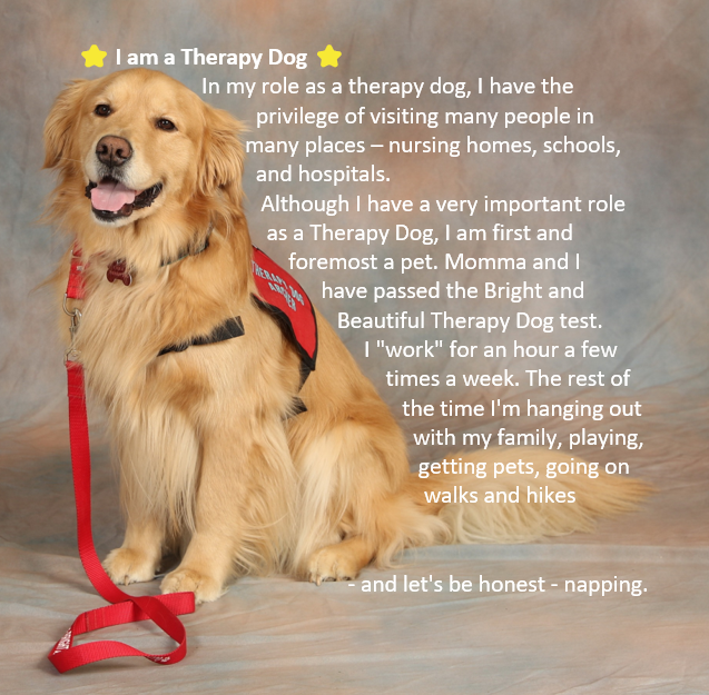Katie Baron: Author & Therapy Dog Advocate – Katie Baron – Author of ...