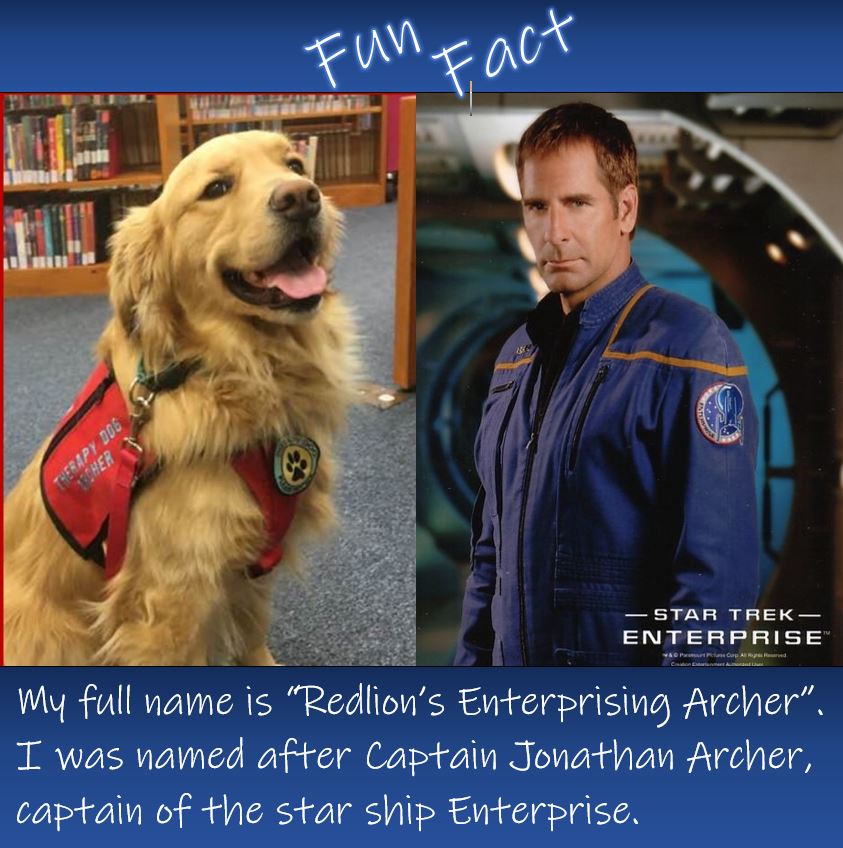 Katie Baron: Author & Therapy Dog Advocate – Katie Baron – Author of ...