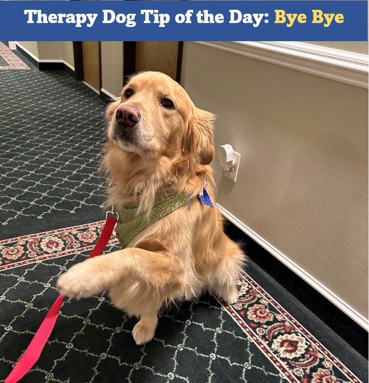 Bye Bye – Katie Baron: Author & Therapy Dog Advocate